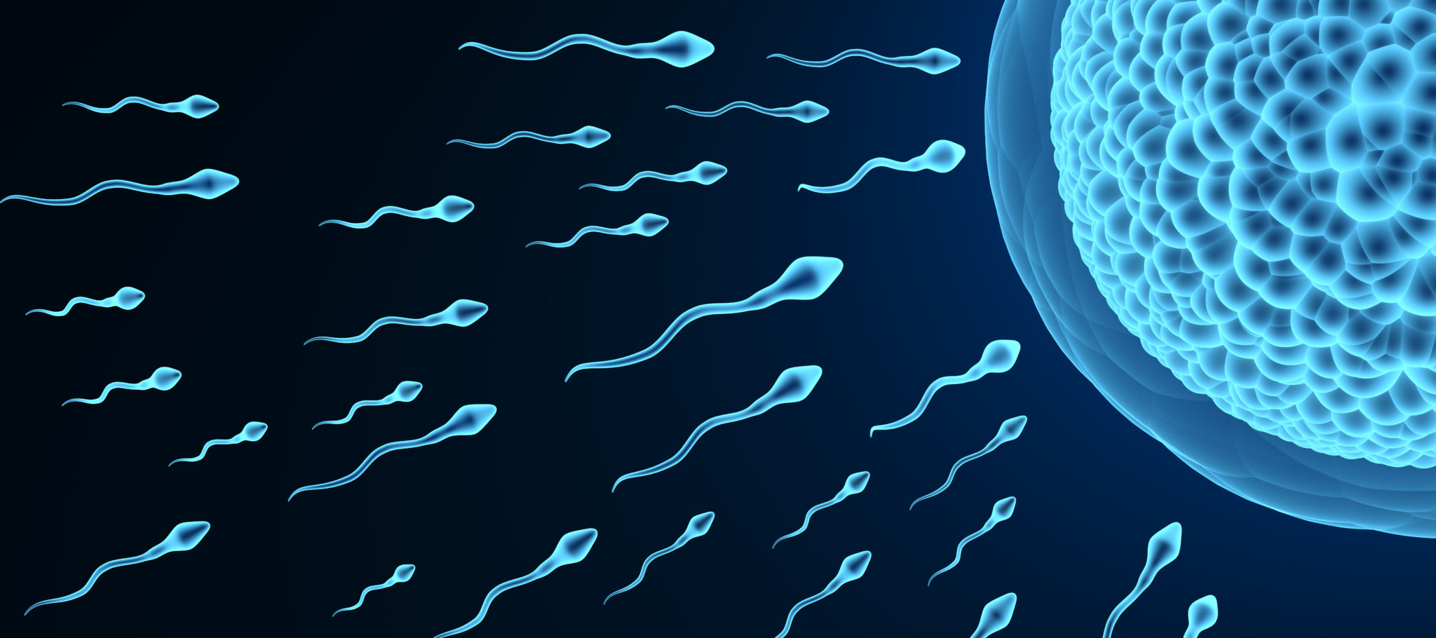 SMART Reproduction Services