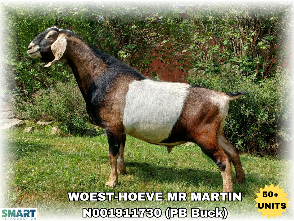 WOEST-HOEVE MR MARTIN (50+ Units) - SMART Reproduction Services