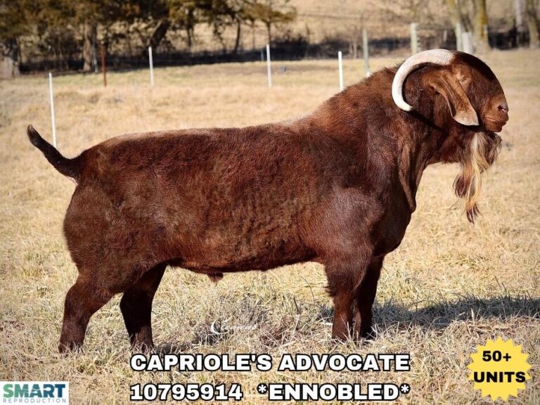 CAPRIOLE’S ADVOCATE (50+ Units) - SMART Reproduction Services